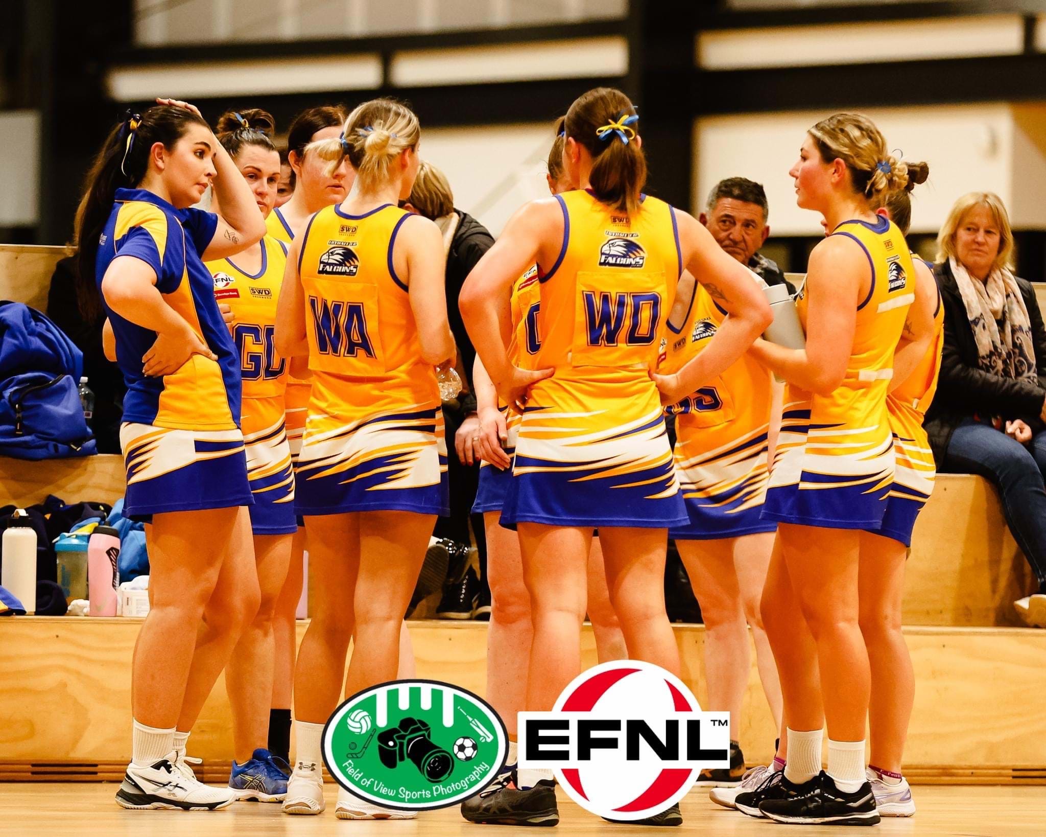 Lilydale Football Club